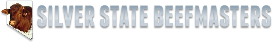 Silver State Beefmasters Inc.